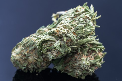 White Widow Marijuana Strain Guide | Talat Gan